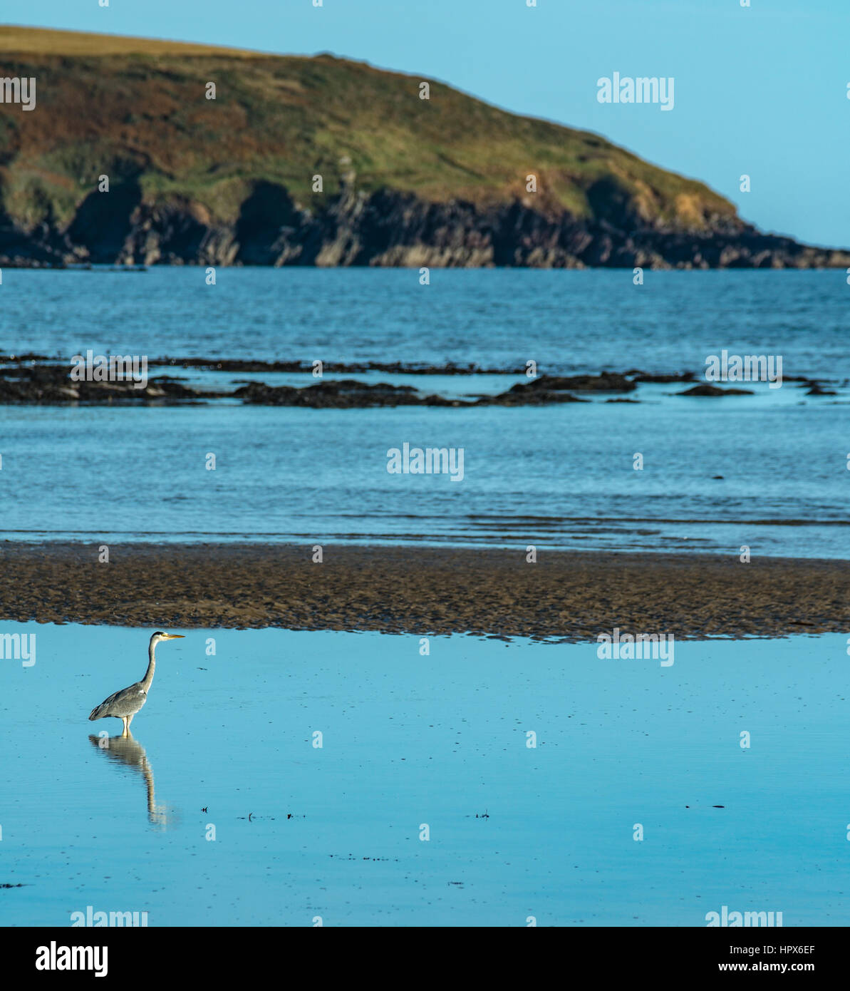 Atlantic seaside hi-res stock photography and images - Alamy