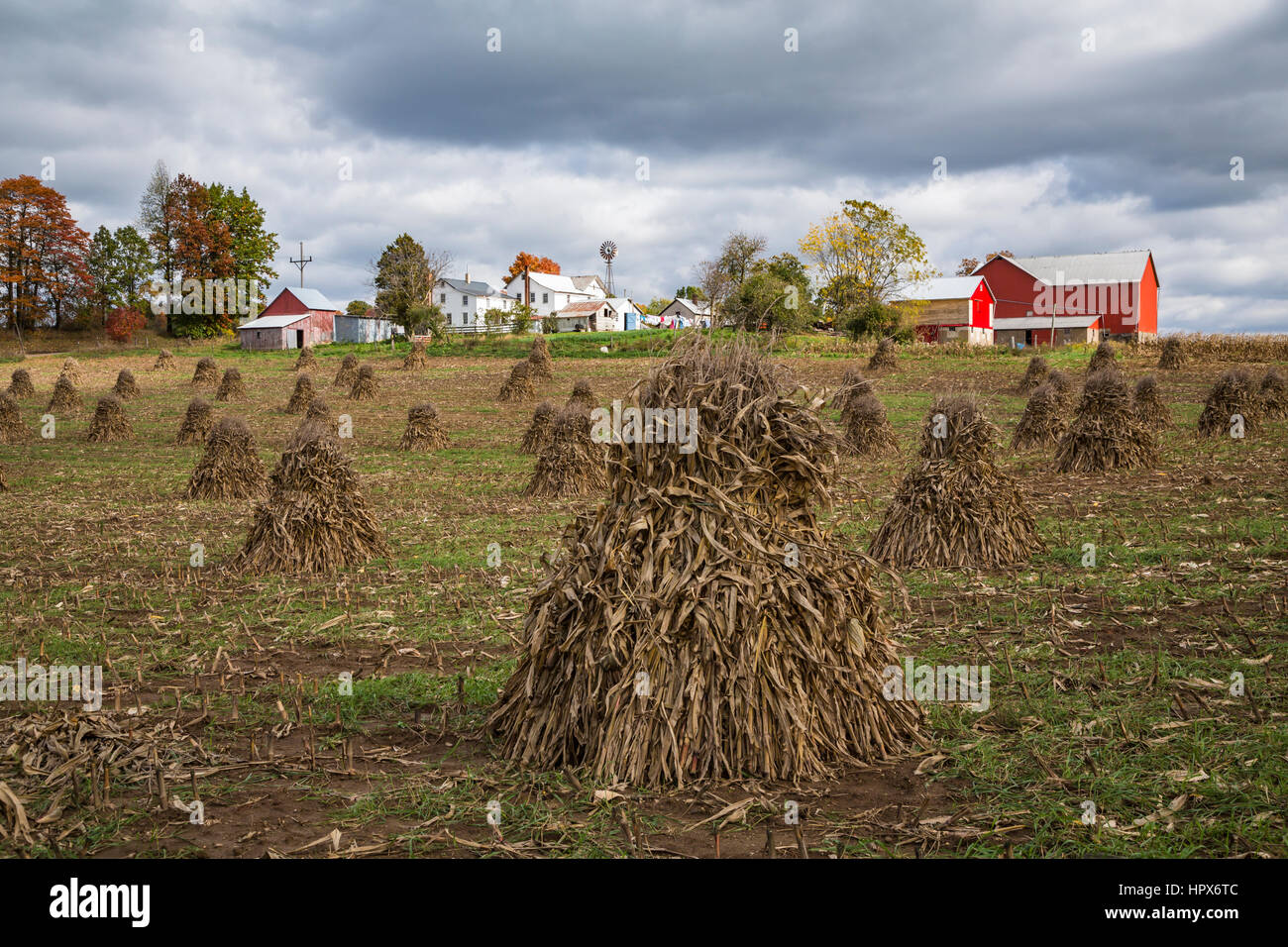Corn Shocks High Resolution Stock Photography and Images - Alamy