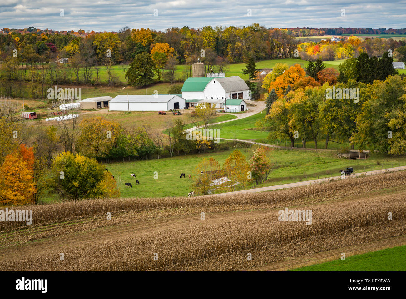 Corn field near hi-res stock photography and images - Alamy