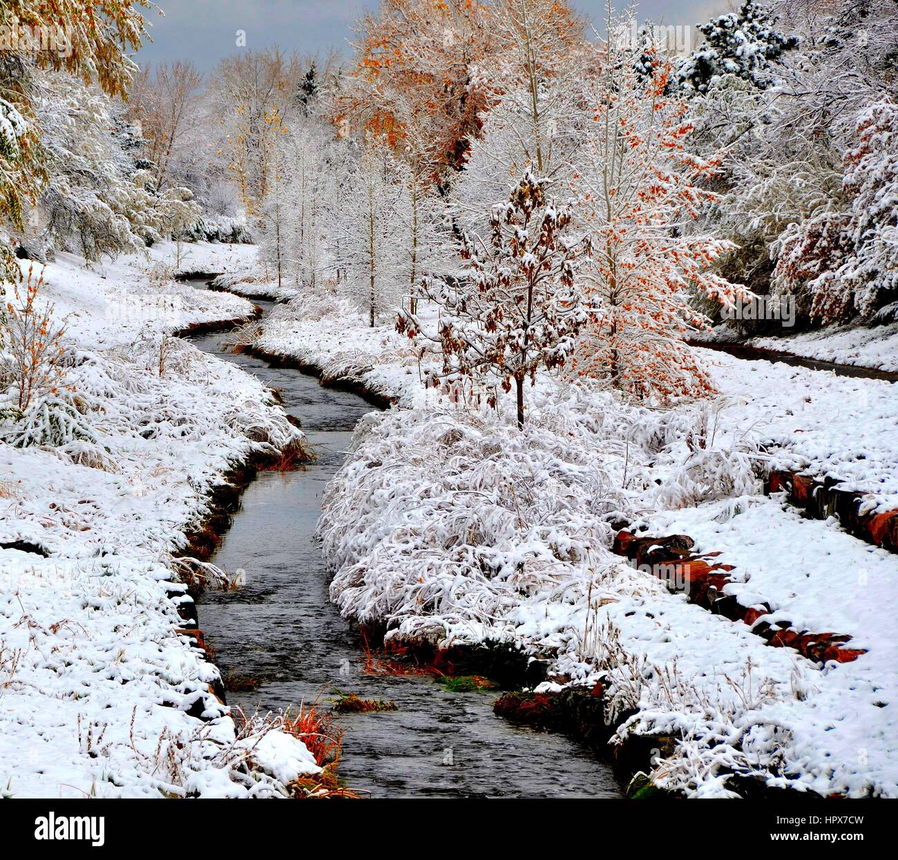 Stream trees snowfall cold temperature hi-res stock photography and ...