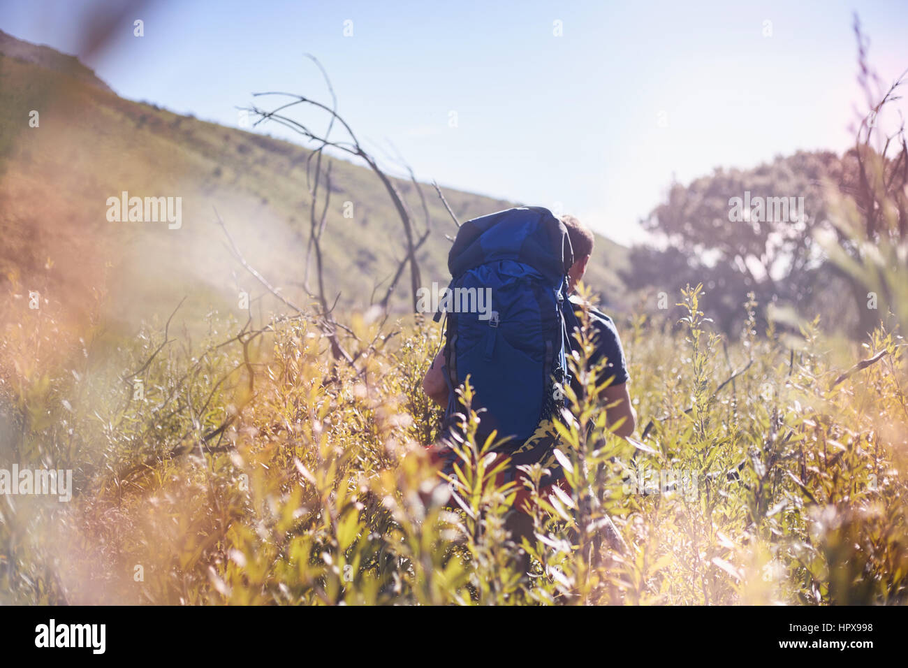 Man walking field tall grass hi-res stock photography and images - Alamy Man walking field tall grass hi-res stock photography and images - Alamy