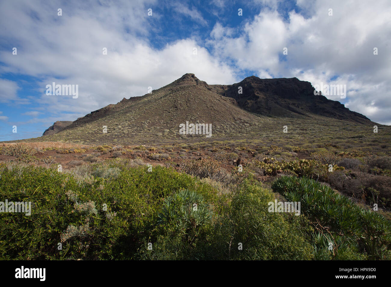 Masca Canyon. Light and Shadow. Hiking on Tenerife. Known for its ...