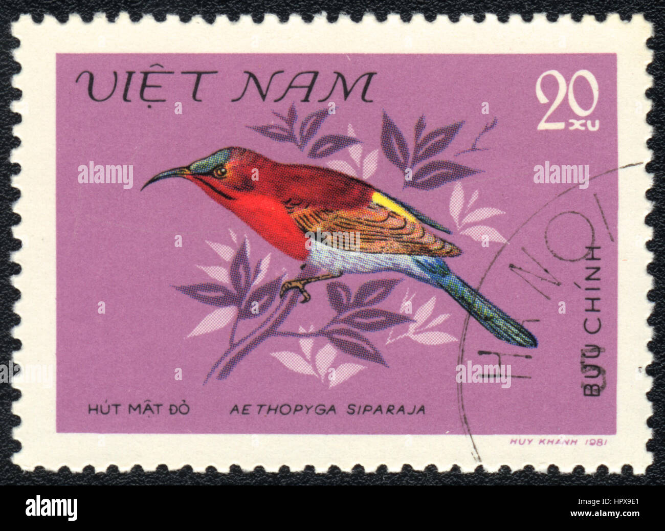 Crimson sunbird hi-res stock photography and images - Alamy