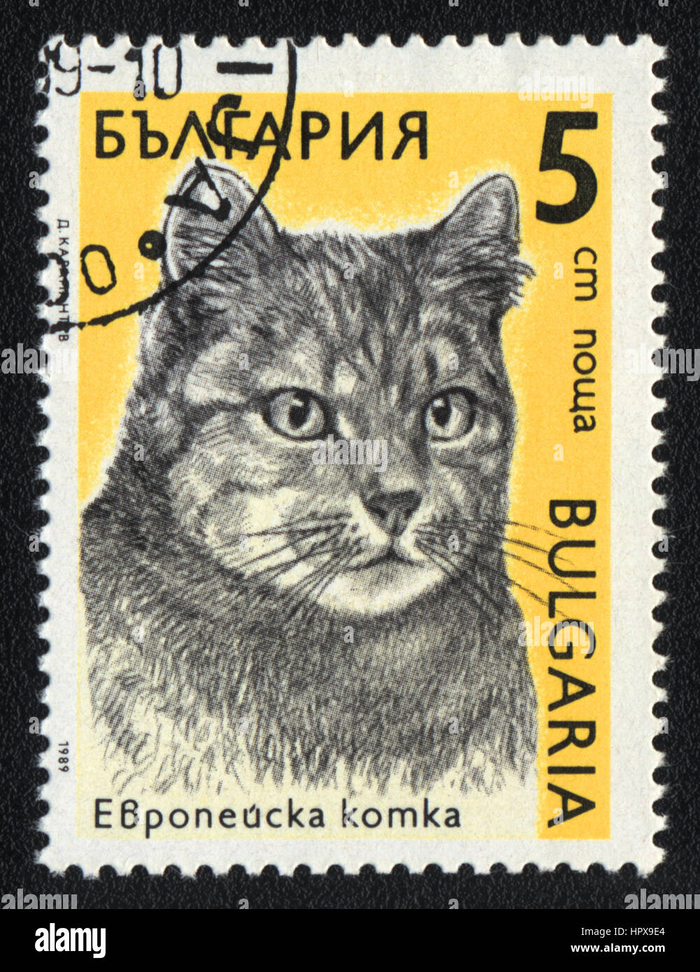 A postage stamp printed in Bulgaria shows a European cat, from series ...