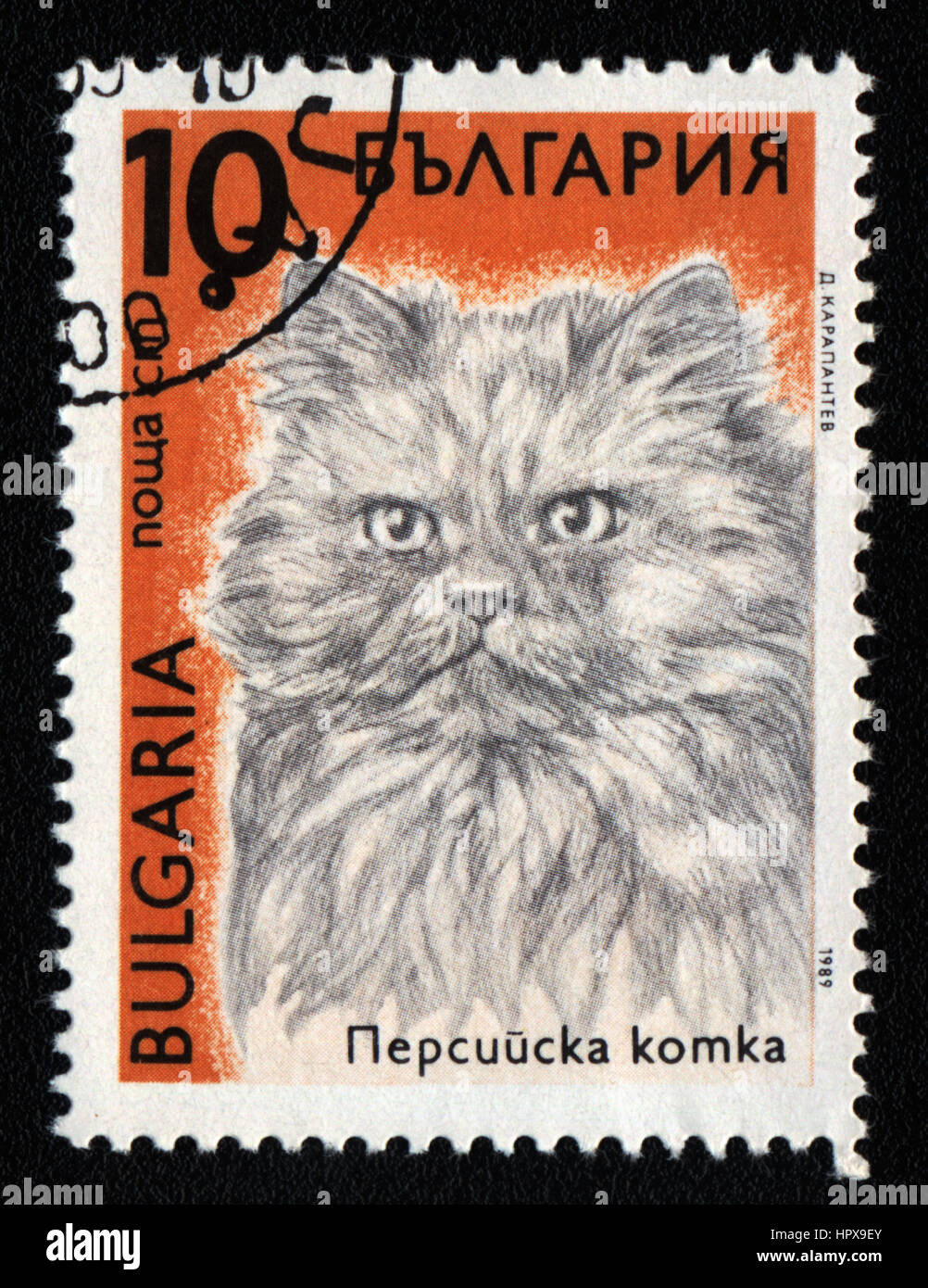 A postage stamp printed in Bulgaria shows a Persian cat, from series ...