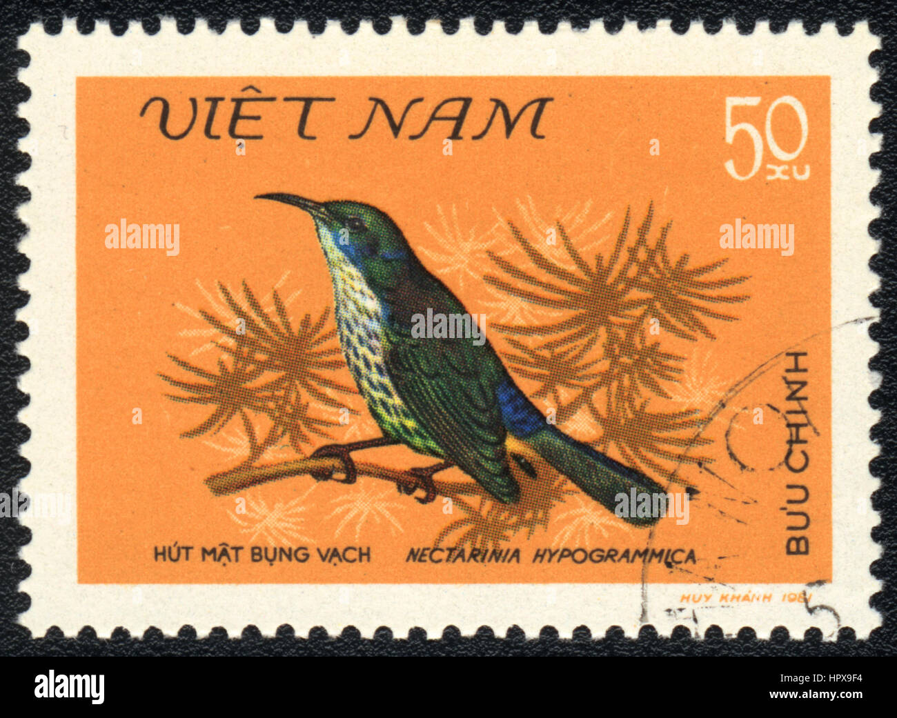 A postage stamp printed in Vietnam shows a bird Purple-naped Sunbird ...