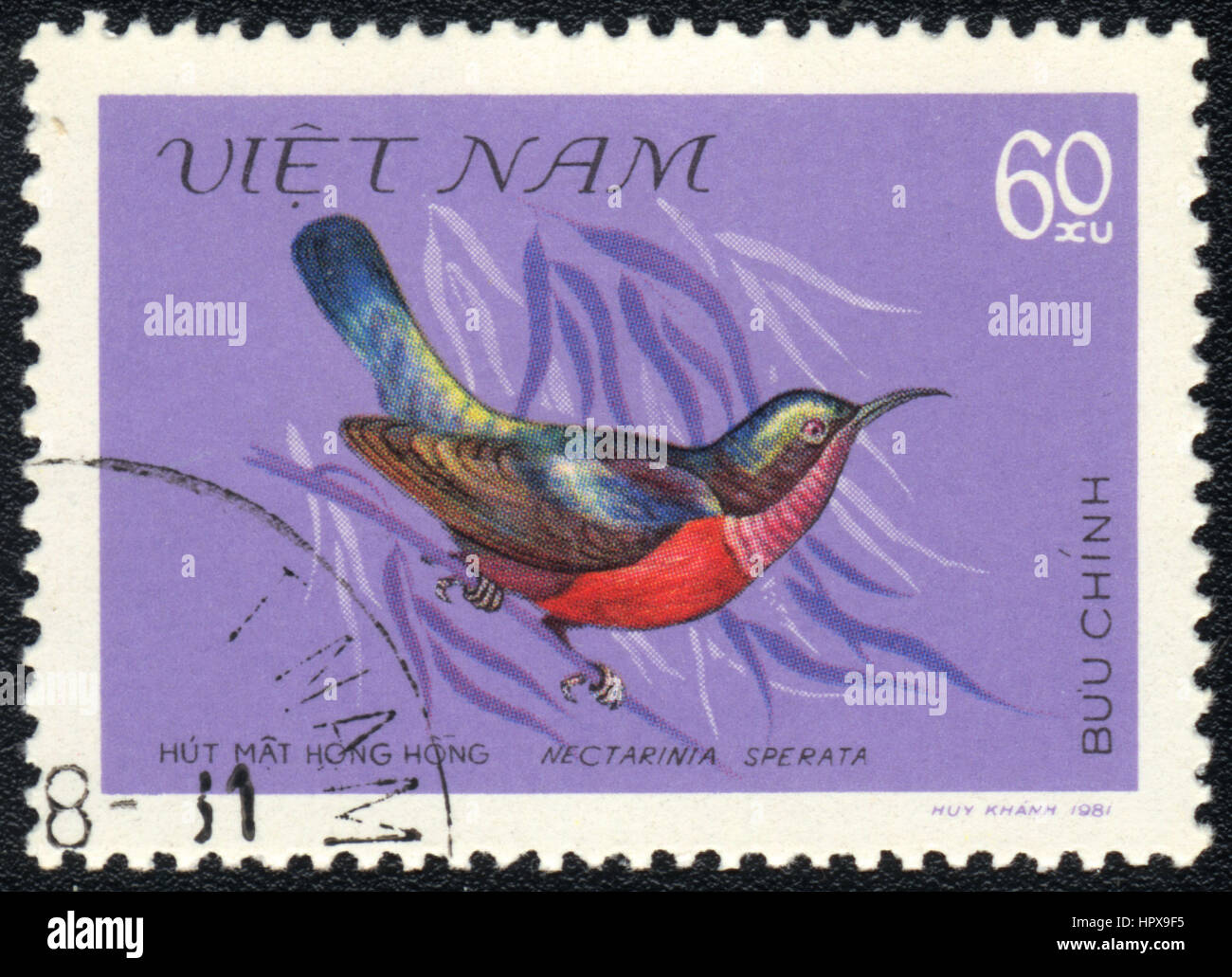 A postage stamp printed in Vietnam shows a bird Purple-throated Sunbird ...