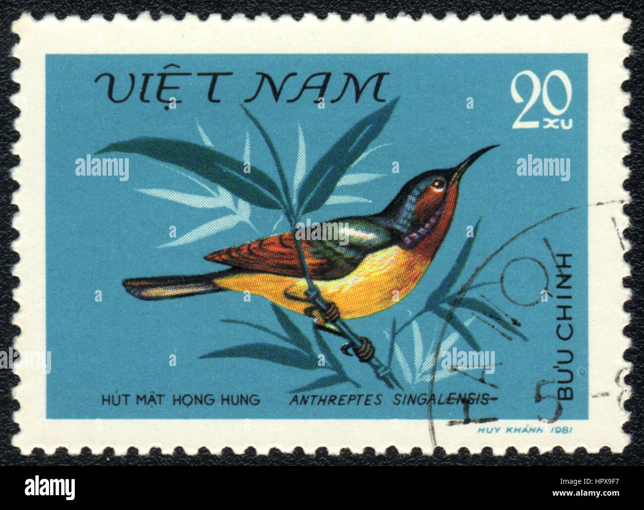 A postage stamp printed in Vietnam shows a bird Ruby-cheeked Sunbird ...