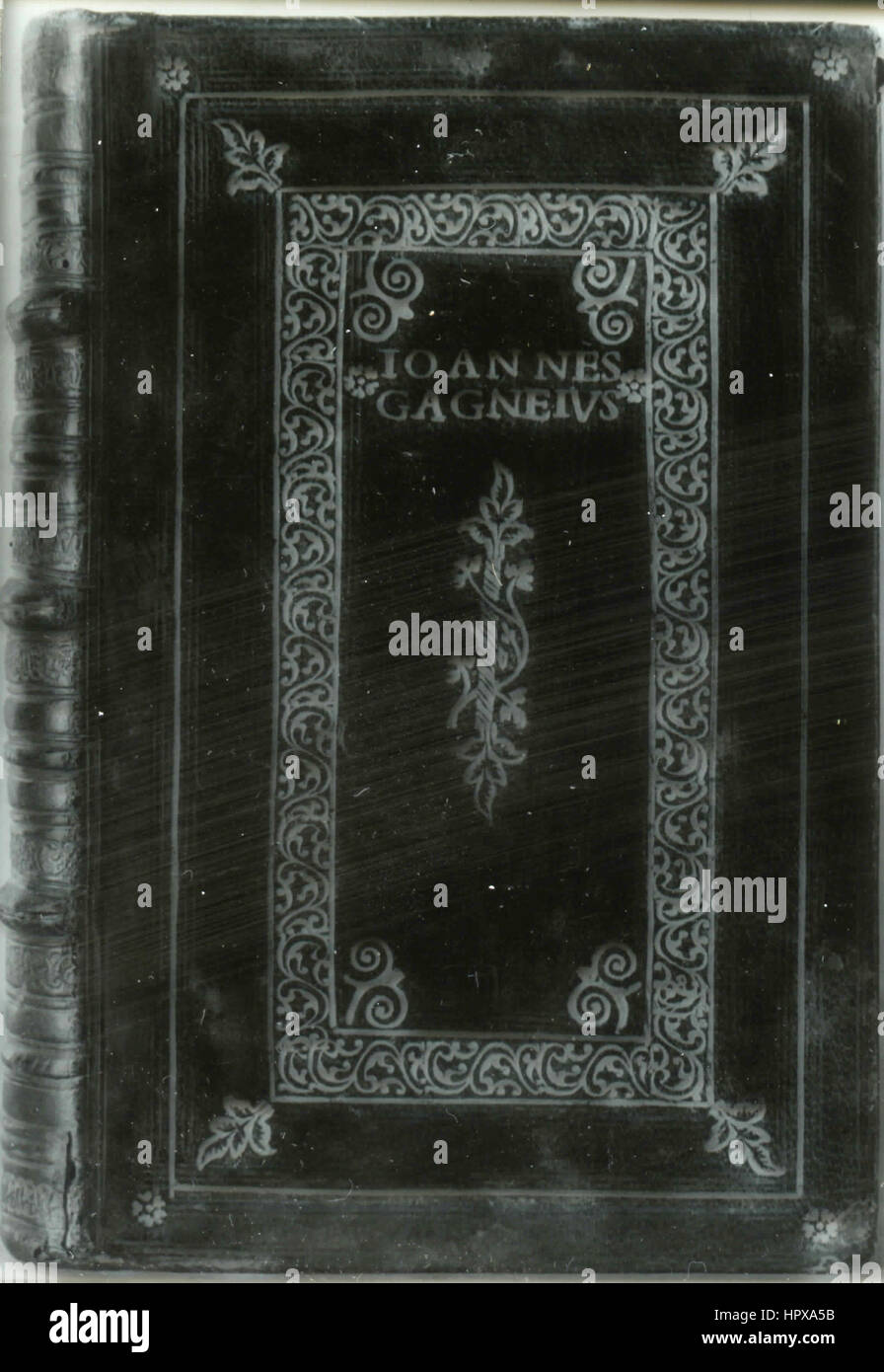 Front cover of an old manuscript book Joannes Gagneius Stock Photo - Alamy