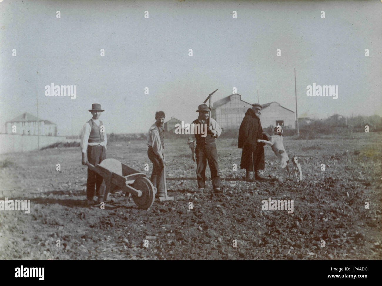Farmers in the field in the countryside, Italy Stock Photo - Alamy