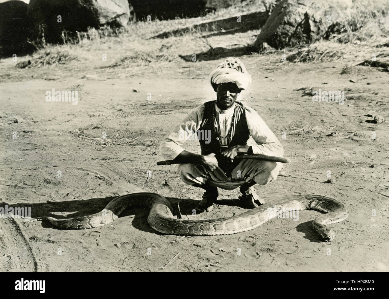 Man snake hi-res stock photography and images - Alamy