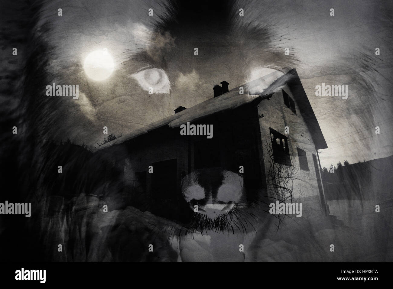 double exposure evel house and watewoolf shadow in dark night- some ...