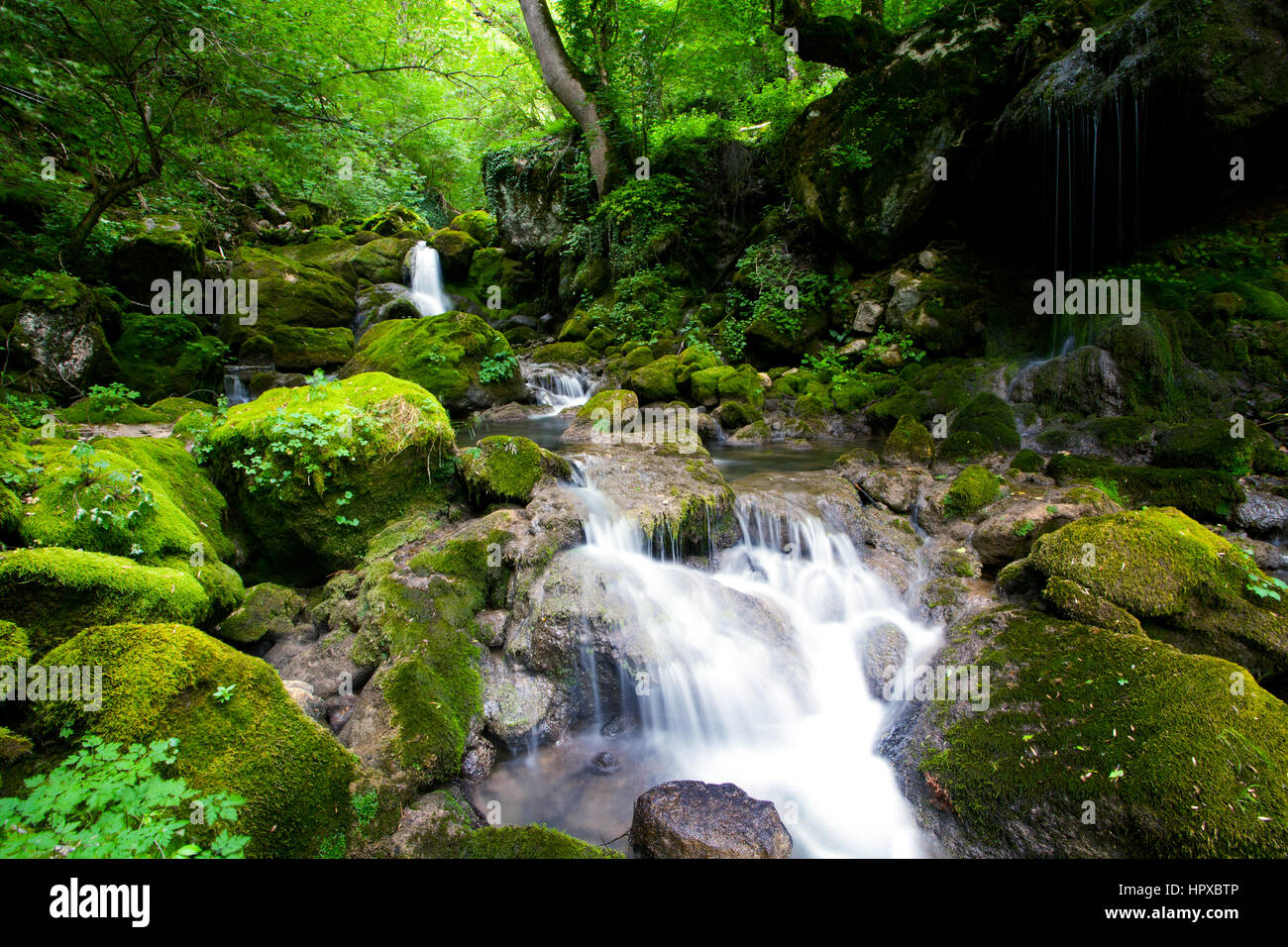 mountain stream in deep bulgarian forest Stock Photo - Alamy