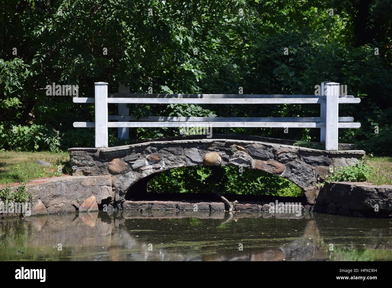 Walk in the pond Stock Photo - Alamy