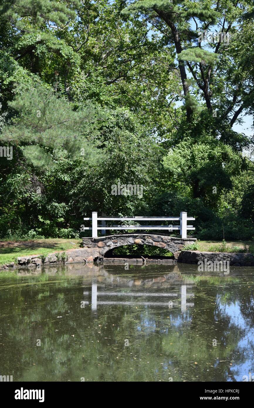 Bridge at the pond Stock Photo - Alamy