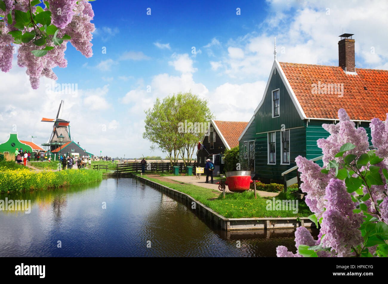 rural dutch scenery of small old houses and canal in Zaanse Schans ...