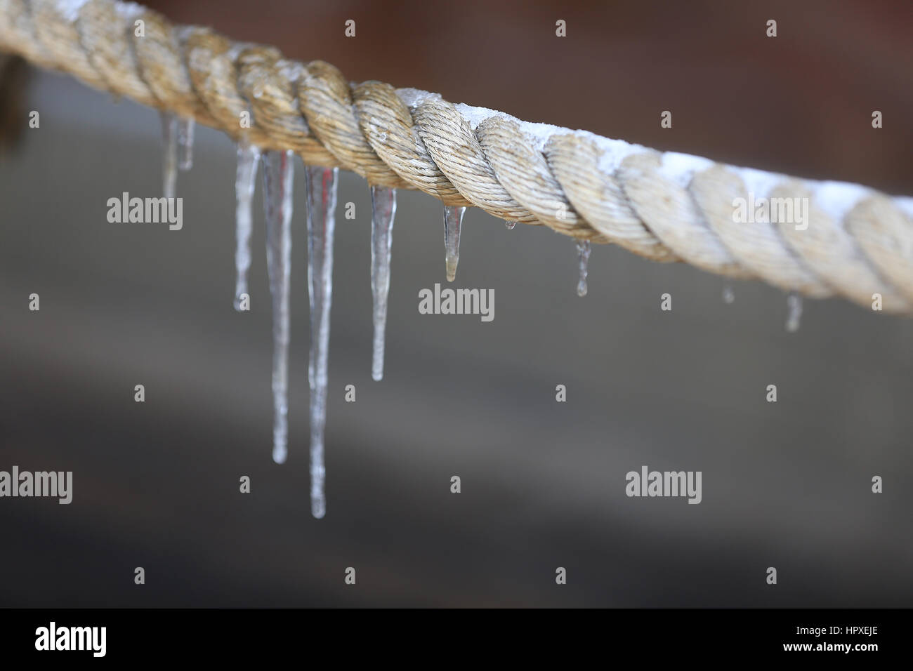 Hanging from the rope hi-res stock photography and images - Alamy