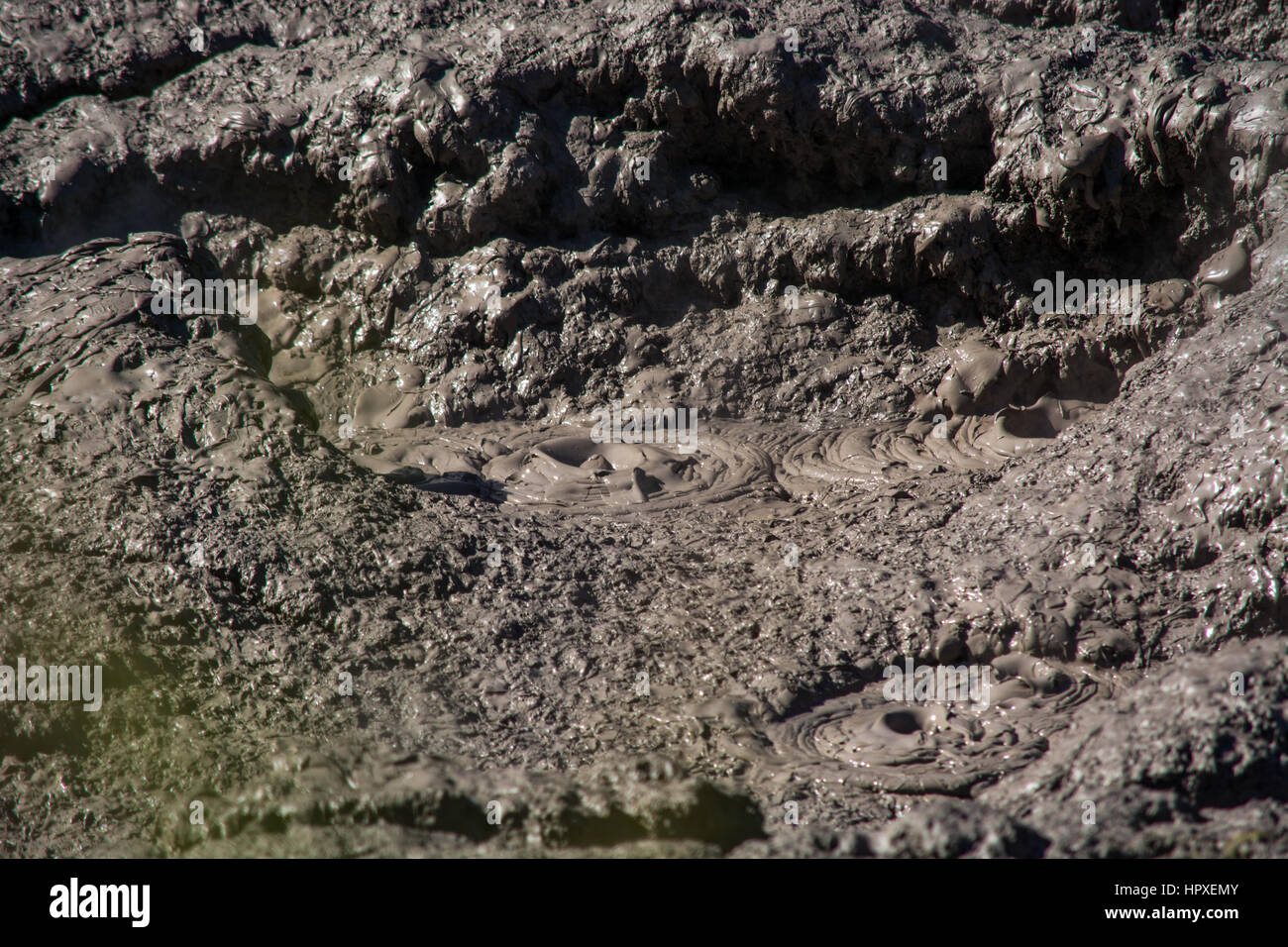 Geothermal landscape rotorua te hi-res stock photography and images - Alamy