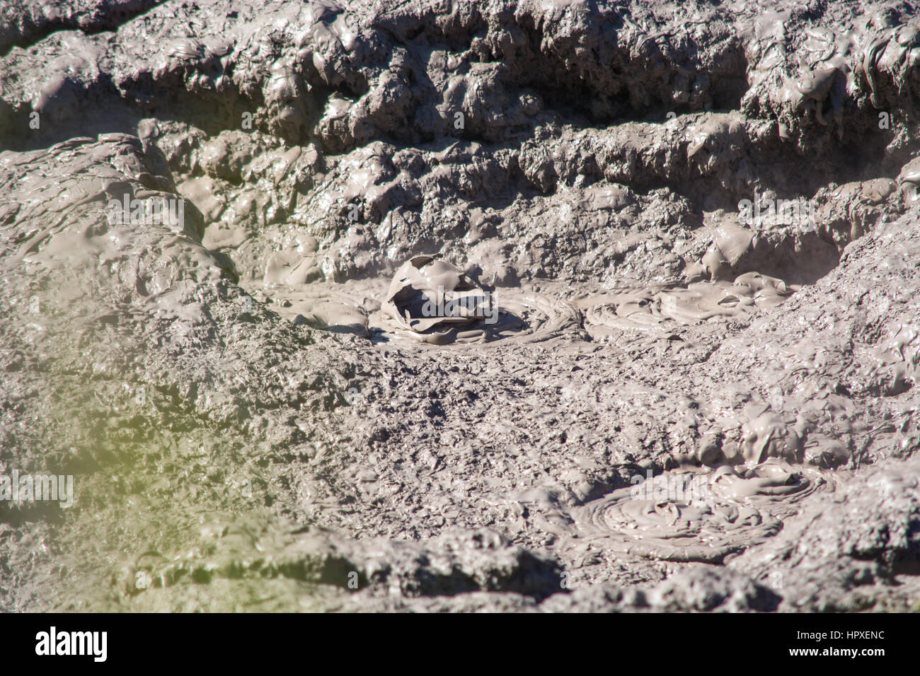 Geothermal mud rotorua hi-res stock photography and images - Alamy