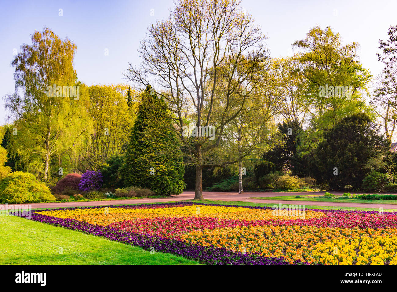 Nice park in the city with trees, Spring flowers and grass Stock Photo ...