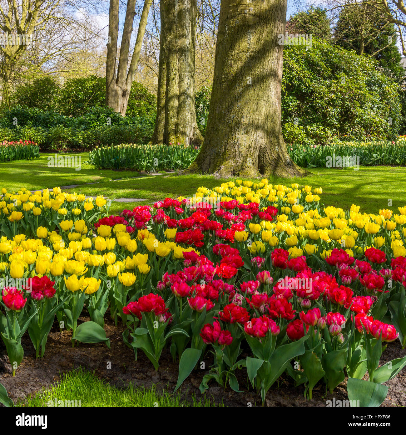 spring landscape. Spring nature background. beautiful garden Stock ...