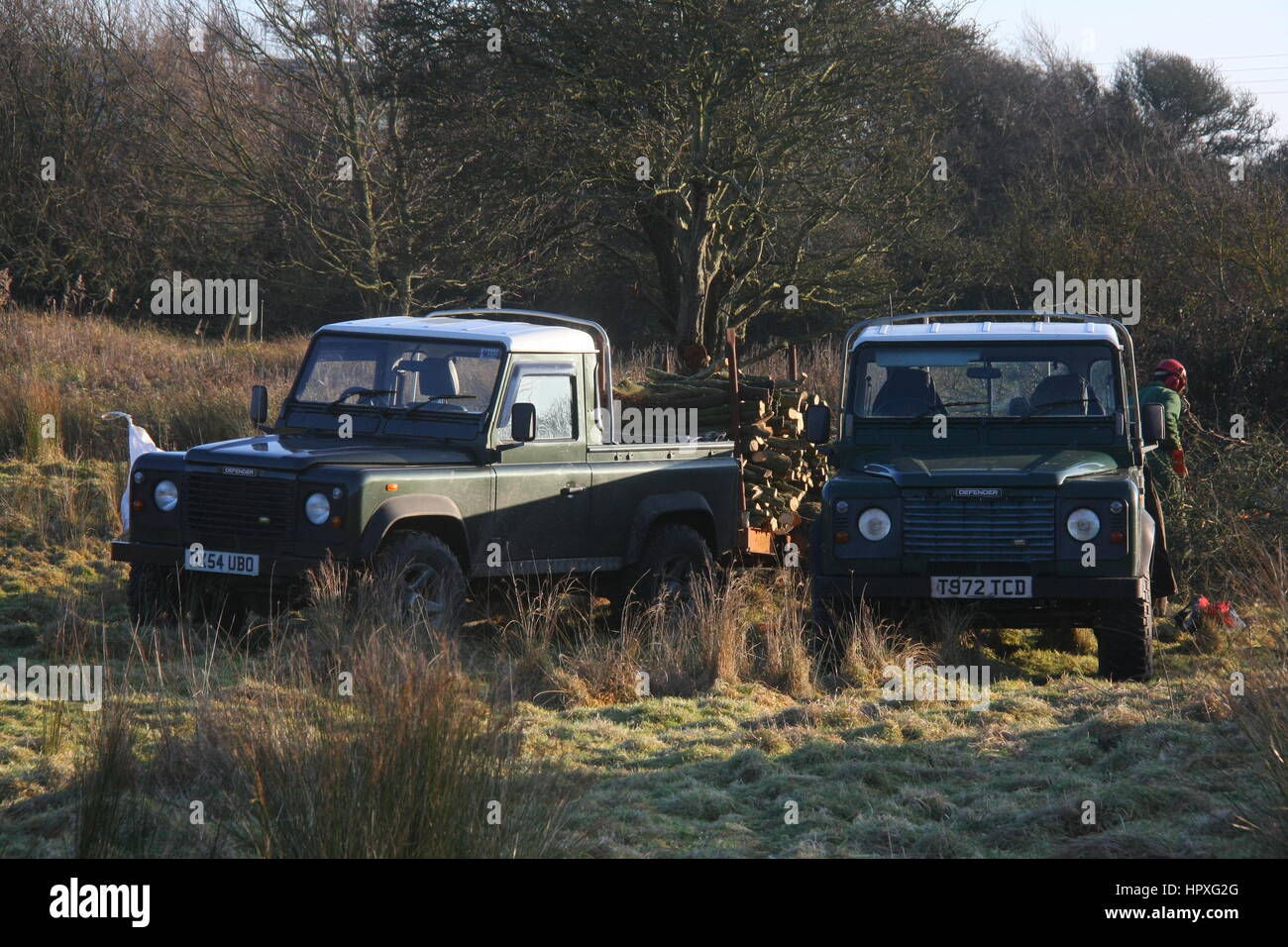 TWO LAND ROVER DEFENDER VEHICLES AT WORK IN A FIELD WITH TREE SURGEONS ...