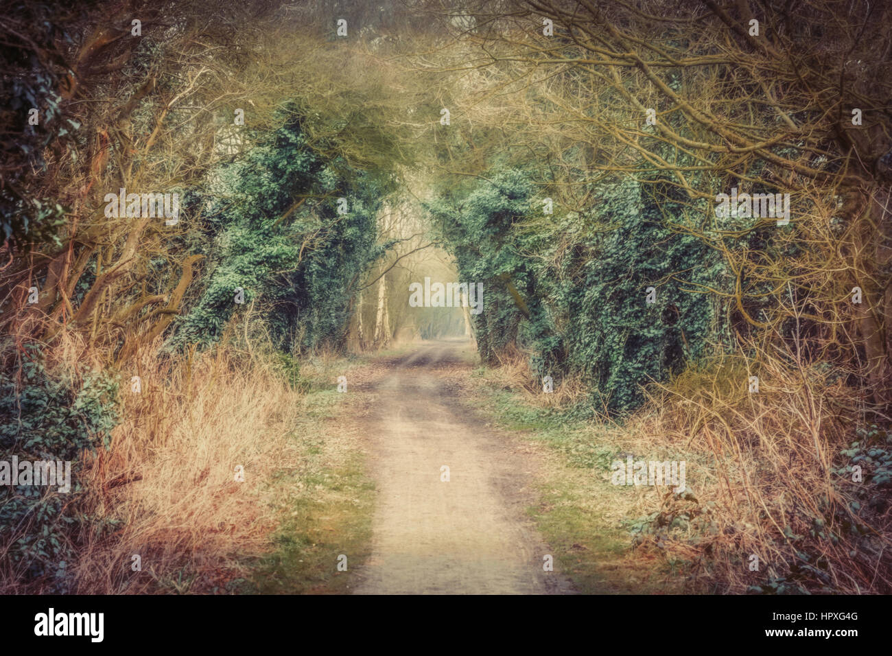 Country footpath on the viking way in lincolnshire Stock Photo - Alamy