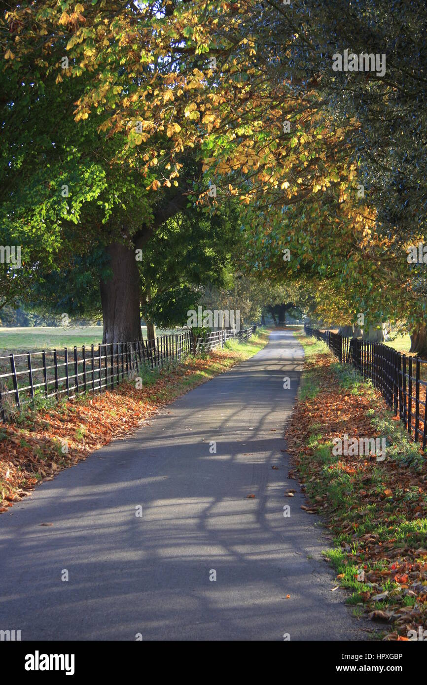 Long country lane hi-res stock photography and images - Alamy
