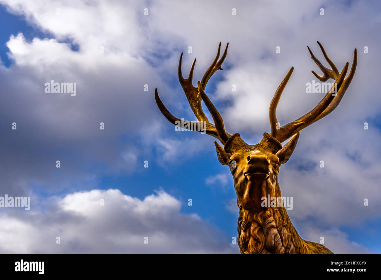 Stag with enormous antlers, standing still against blue sky. Bronze ...