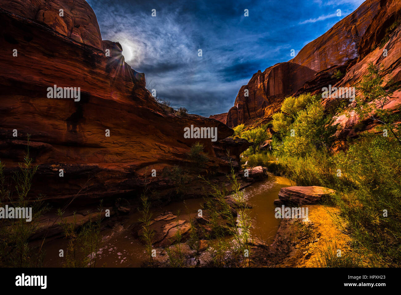 Coyote Gulch Grand Staircase Escalante National Monument Utah USA Stock ...