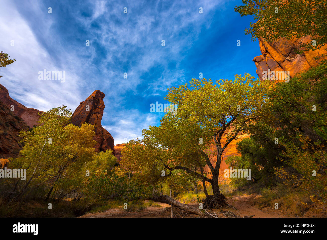 Coyote Gulch Fall Colors Grand Staircase Escalante Utah USA Stock Photo ...