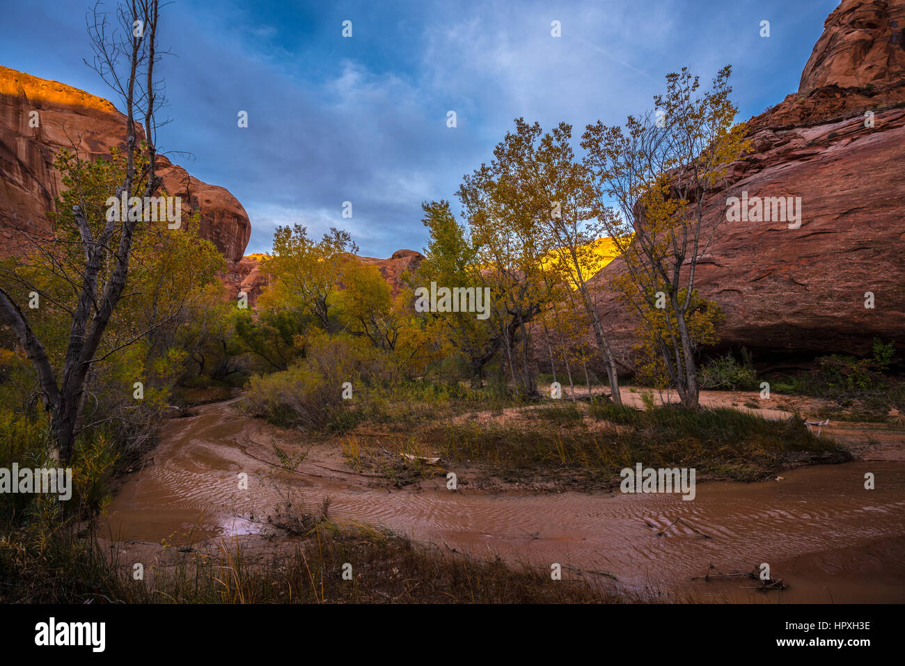 Coyote Gulch Fall Colors Grand Staircase Escalante Utah USA Stock Photo ...