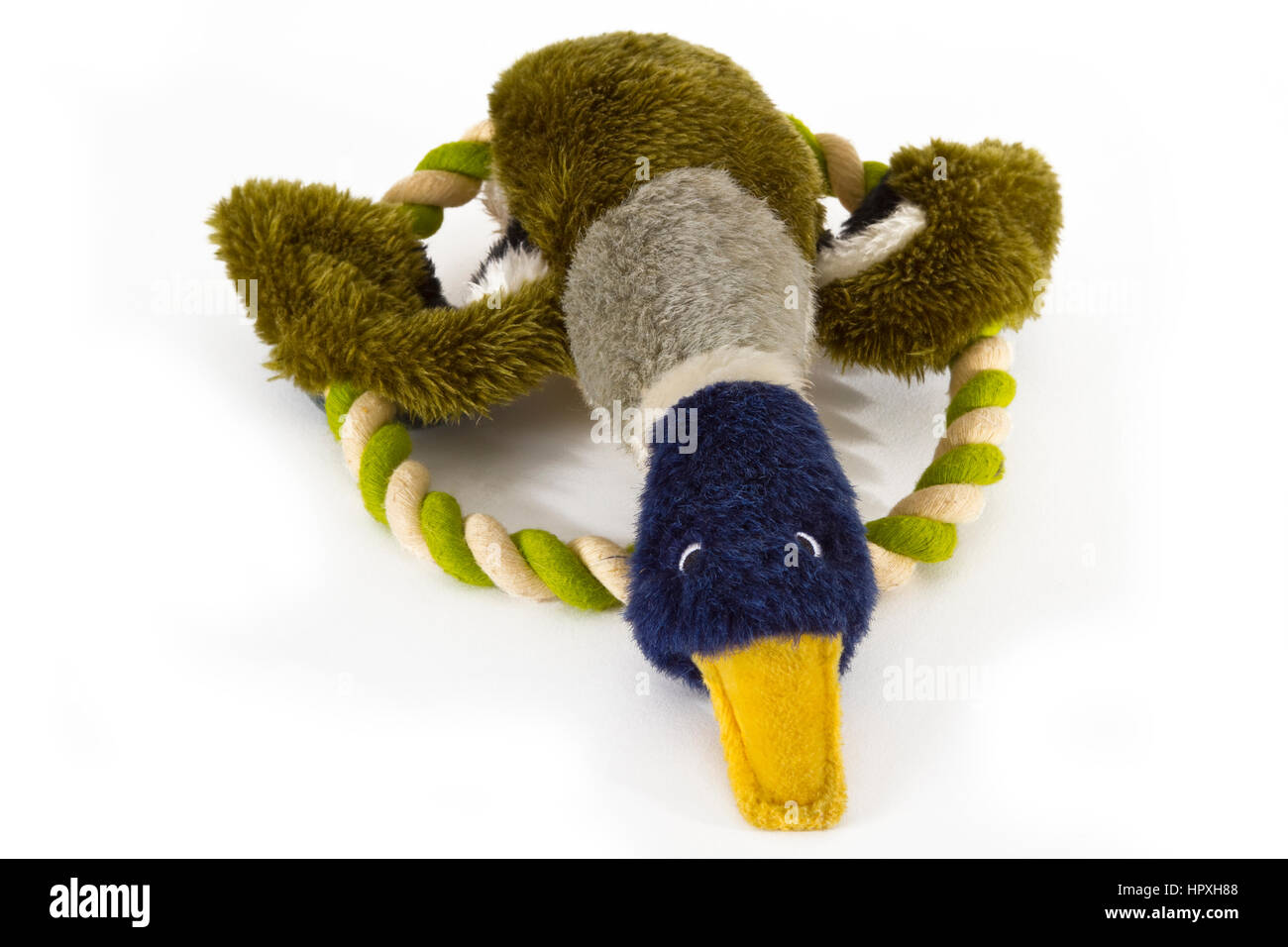 Stuffed duck dog toy on bright background Stock Photo - Alamy