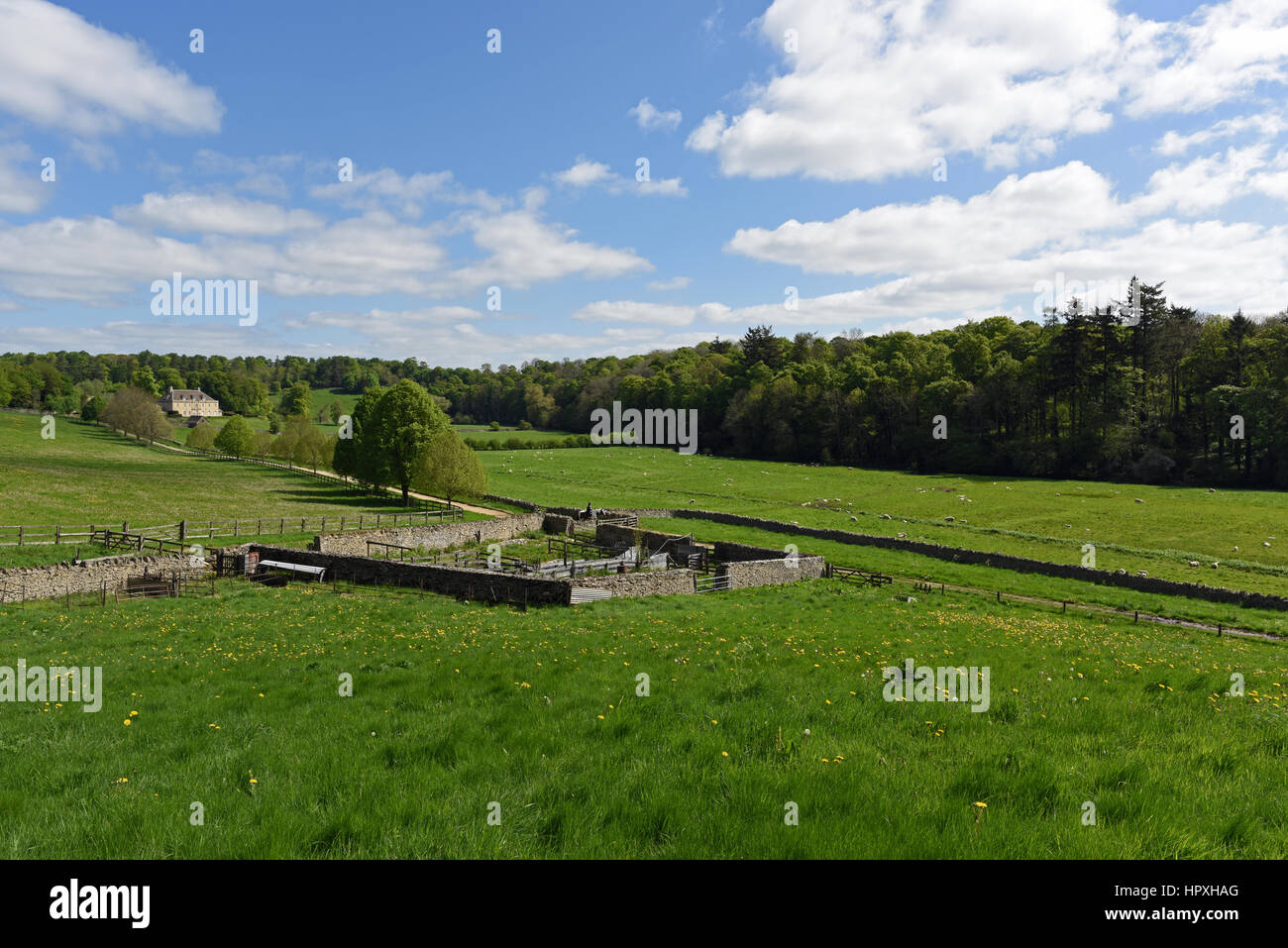 Andover ramblers hi-res stock photography and images - Alamy