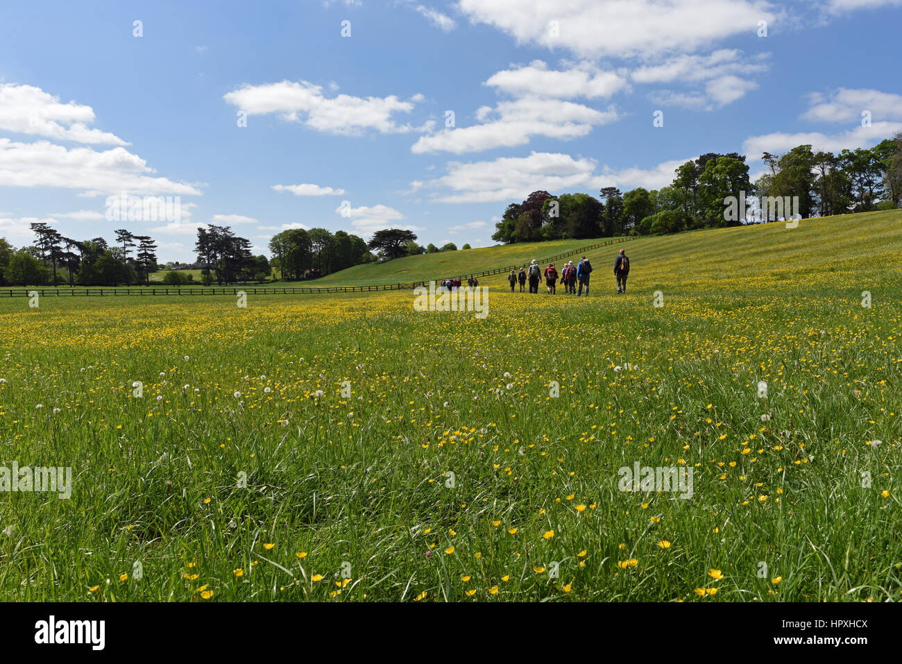 Andover ramblers hi-res stock photography and images - Alamy