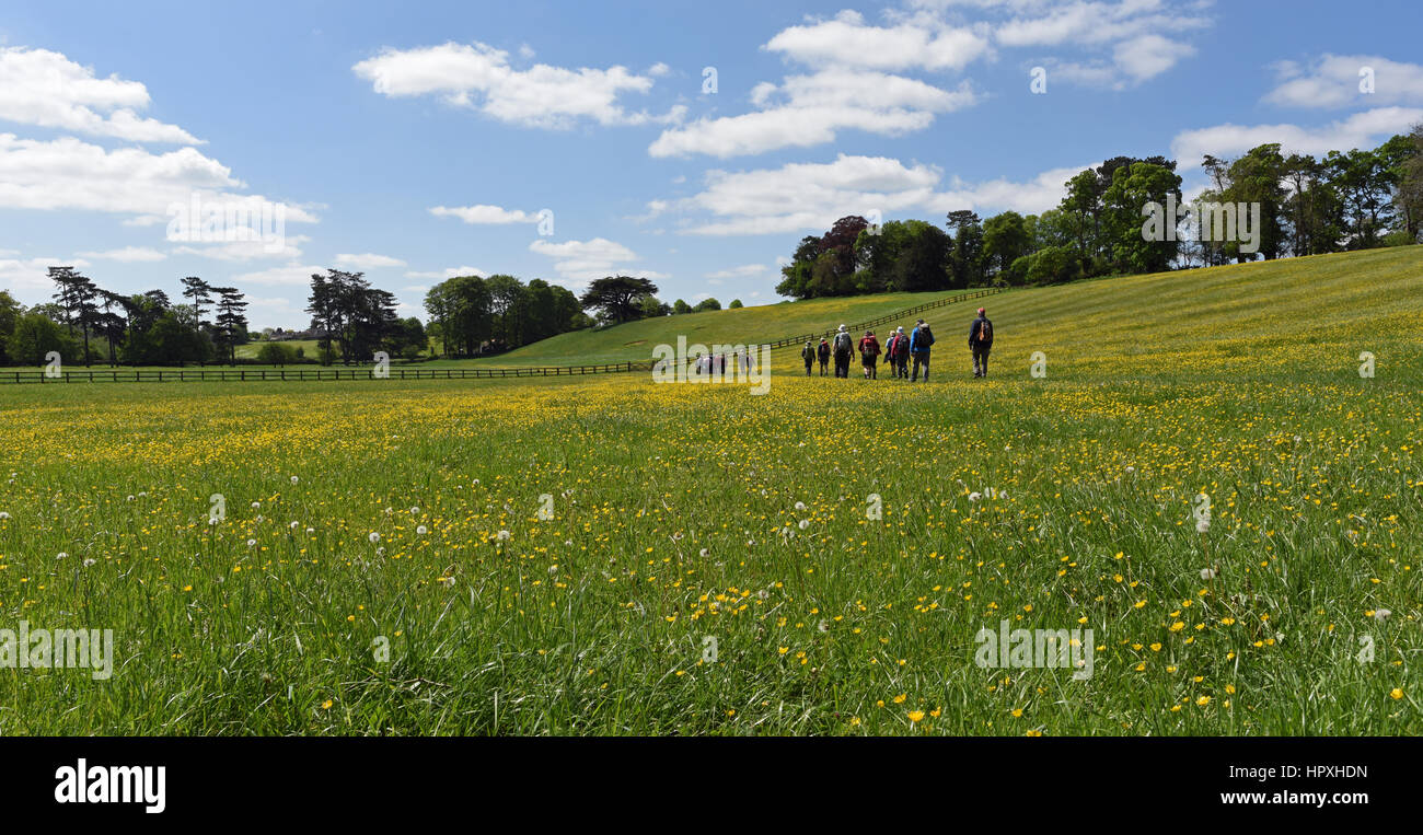 Ramblers walking in the Cotswolds, Gloucestershire, England Stock Photo ...