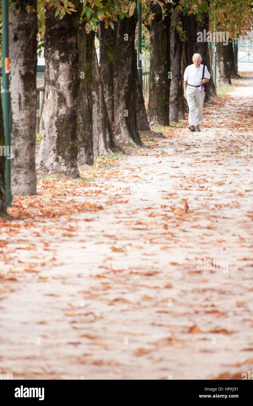 Old man walking alone in a park hi-res stock photography and images - Alamy