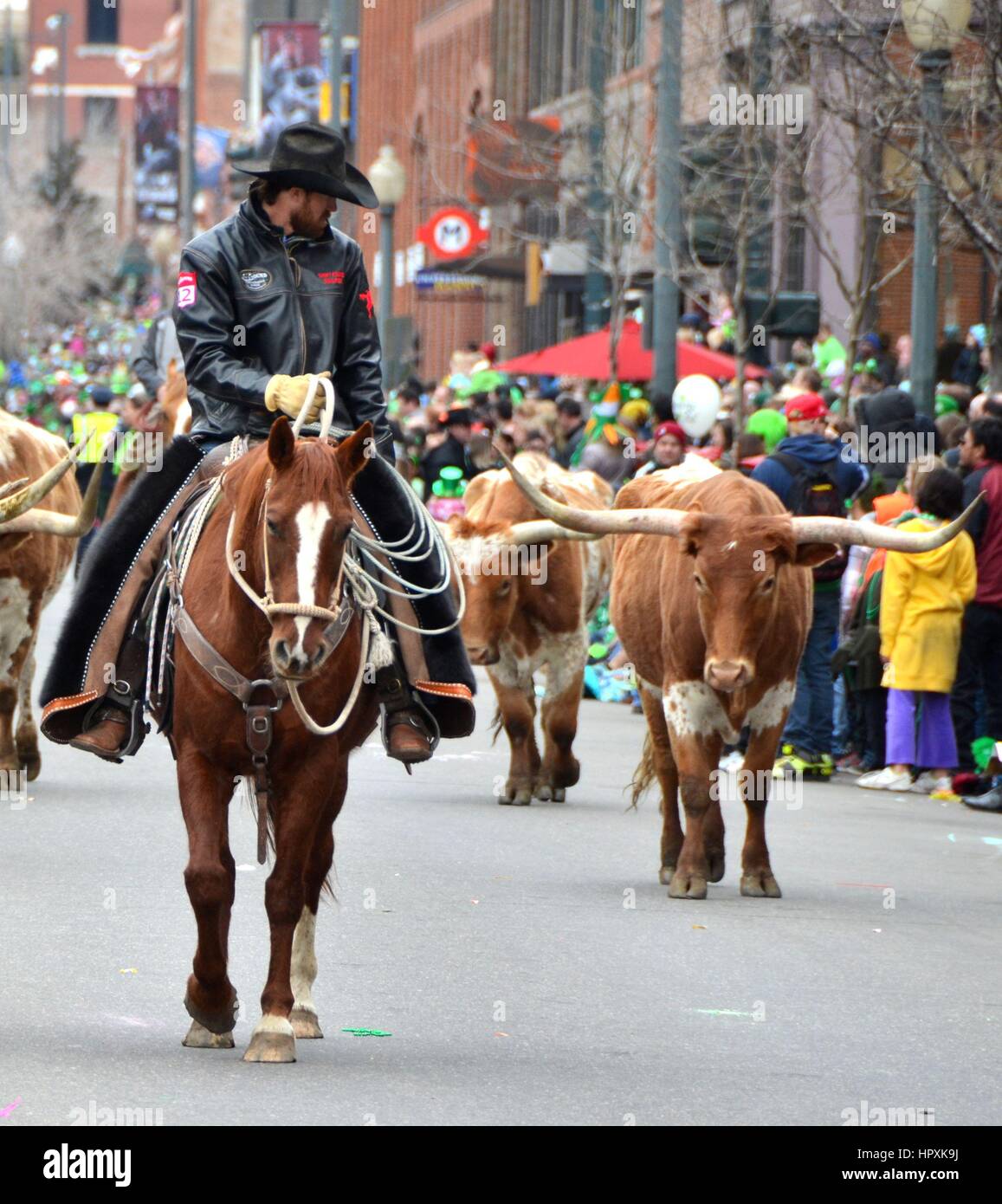 Cowgirls Roping High Resolution Stock Photography and Images - Alamy