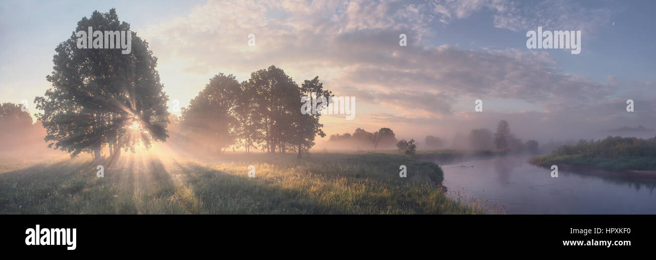 Beautiful summer morning landscape with sunlight coming from tree Stock ...