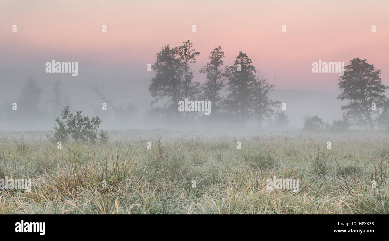 Summer morning sun hi-res stock photography and images - Alamy