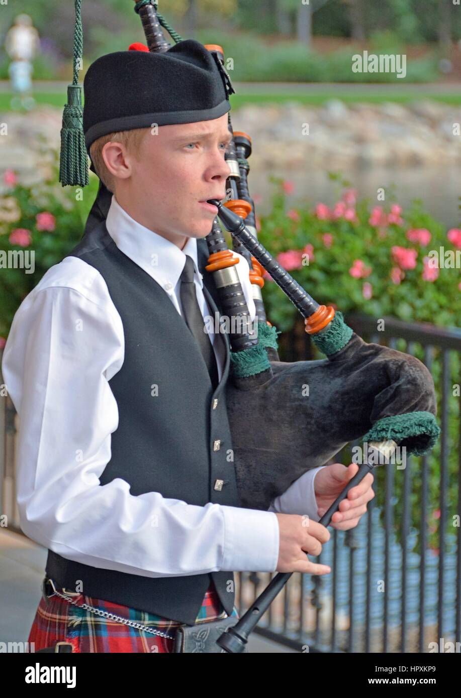 Medieval musicians music musical instruments hi-res stock photography ...