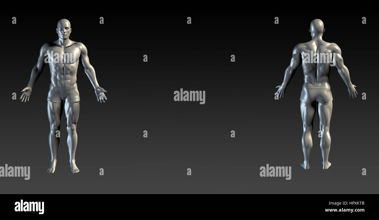 Human Body Presentation Background for Medical Anatomy Art Stock Photo ...