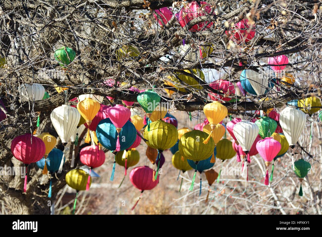 Collapsible lantern hi-res stock photography and images - Alamy
