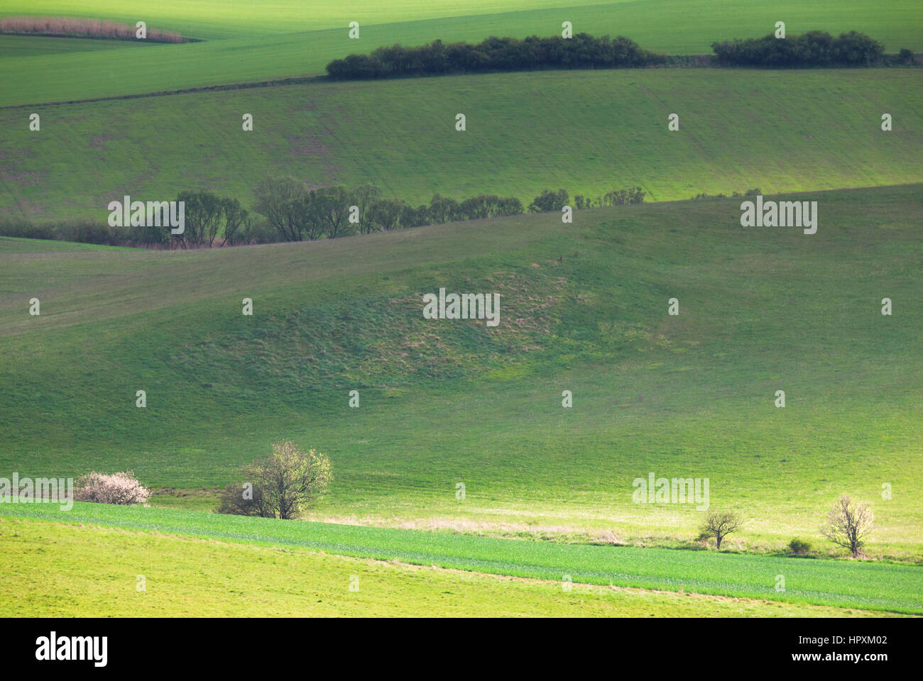 Panoramic landscape green field forest hi-res stock photography and ...