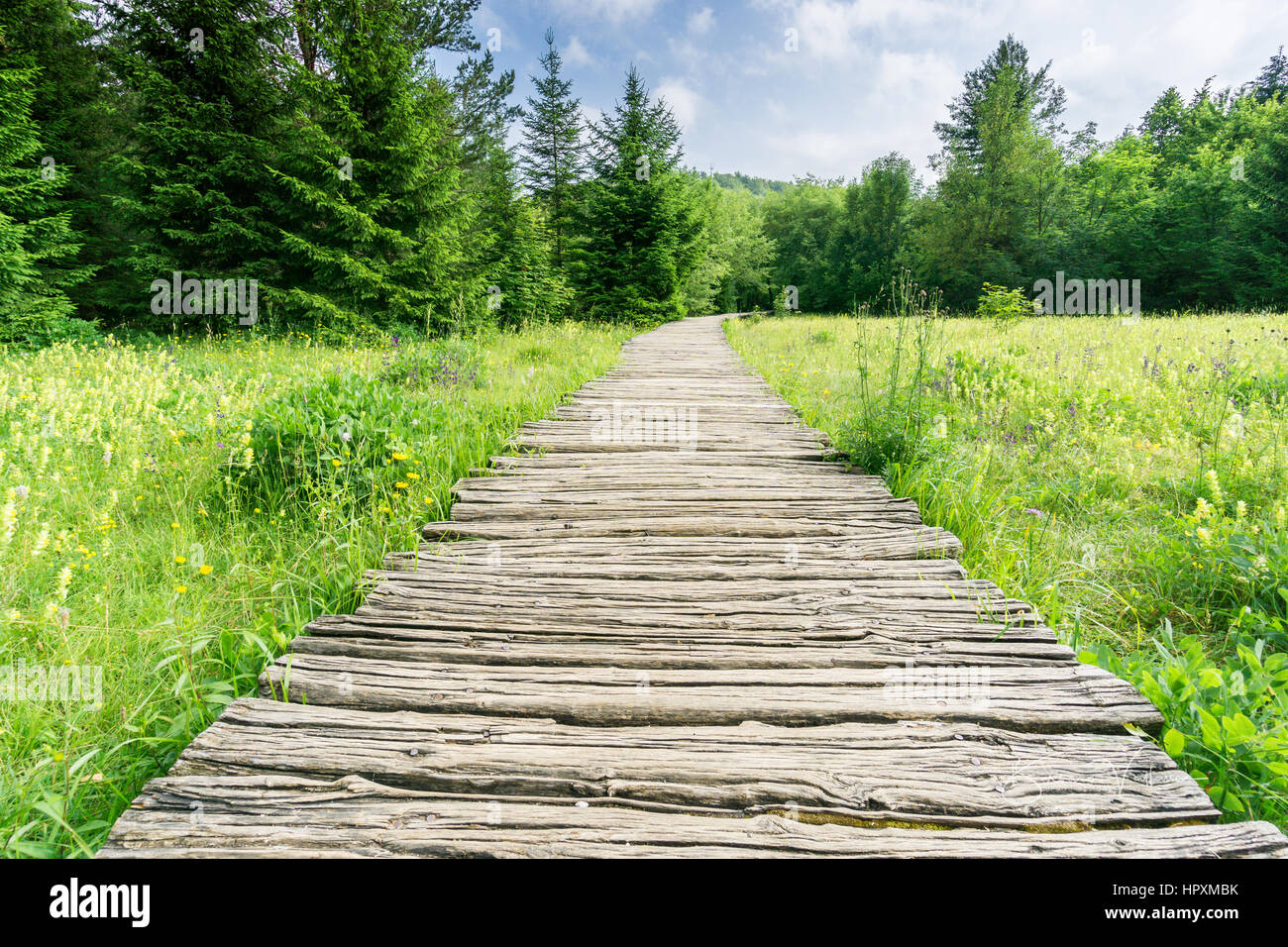 Straight Wooden Pathway in Plitvice Lakes National Park Stock Photo - Alamy