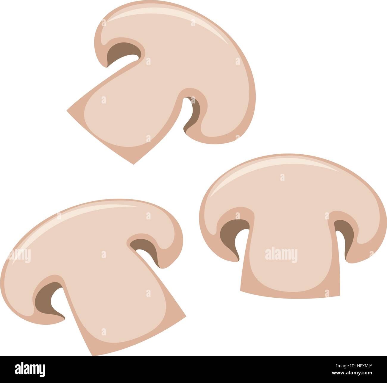Mushroom slices on white background illustration Stock Vector Image ...