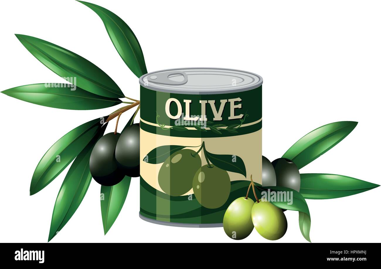 Fresh olive and olive in can illustration Stock Vector Image & Art - Alamy