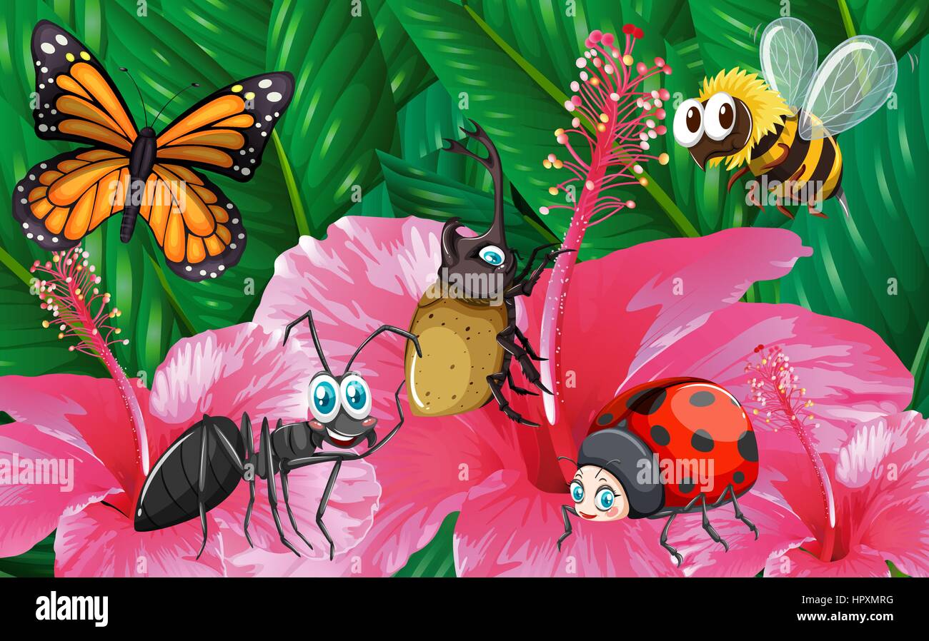 Different types of bugs in garden illustration Stock Vector Image & Art ...