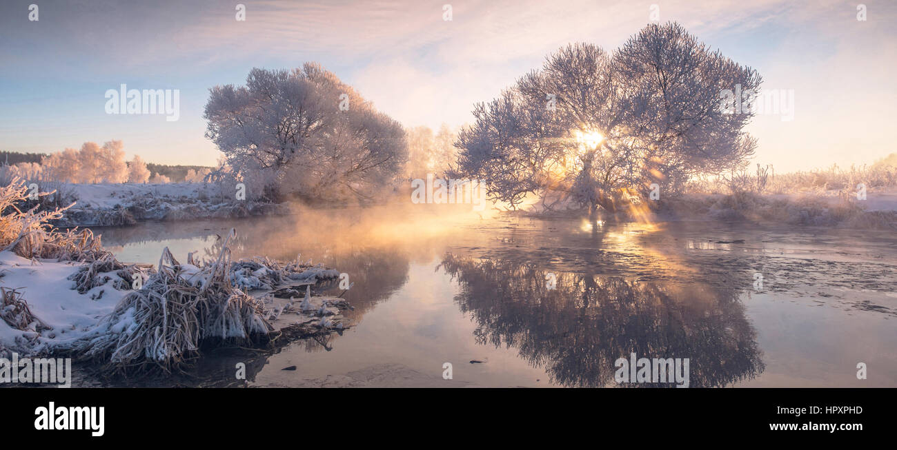 Frosty winter trees illuminated by the rising sun Stock Photo - Alamy