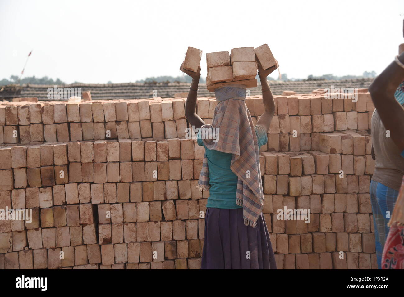 Landless labor hi-res stock photography and images - Alamy